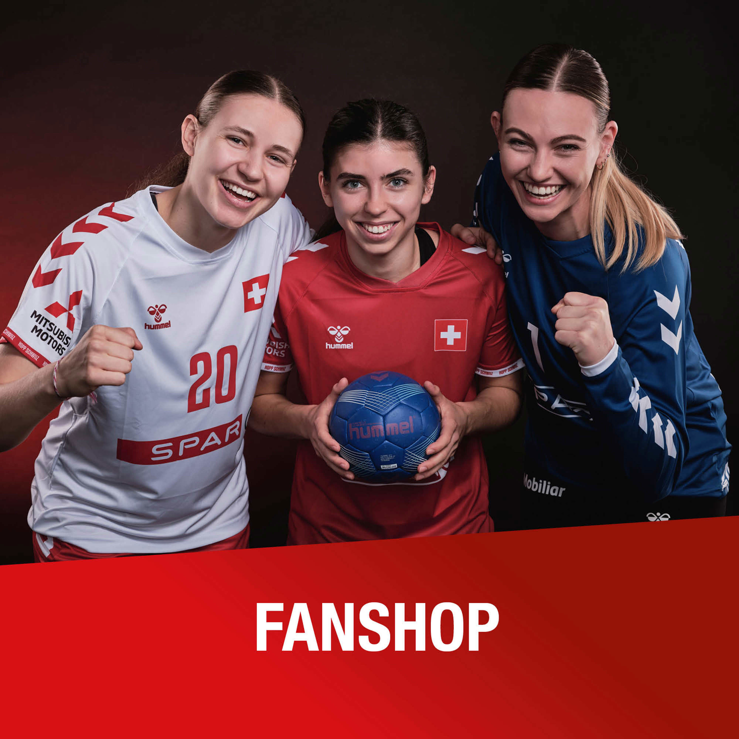 Organisation - Handball Schweiz